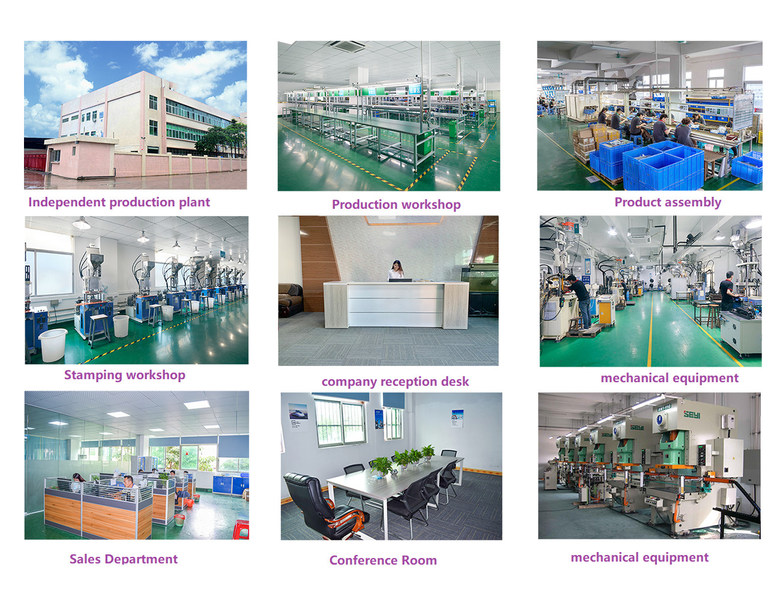ประเทศจีน Dongguan Dason Electric Co., Ltd รายละเอียด บริษัท